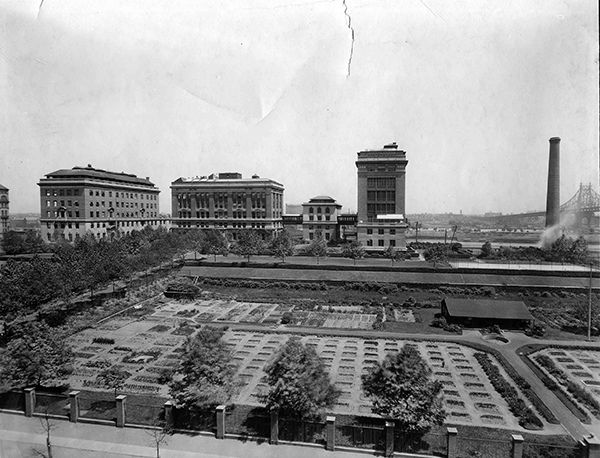 The American Association of Immunologists - PI in the Scotland Yard of ...