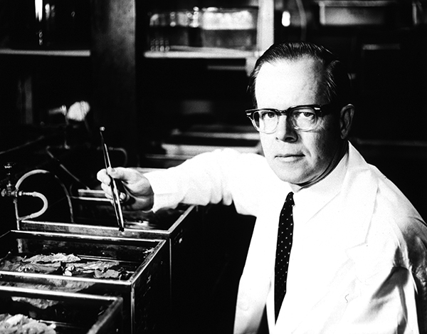 The American Association of Immunologists - Polio: Part II—The Basic ...