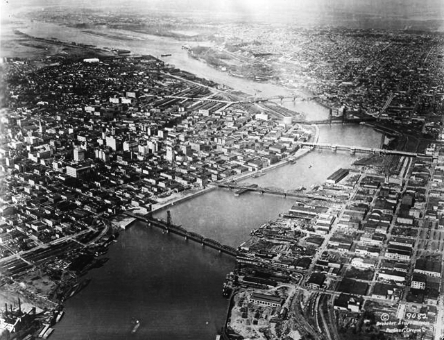 The American Association of Immunologists - Early-PDX-Hist